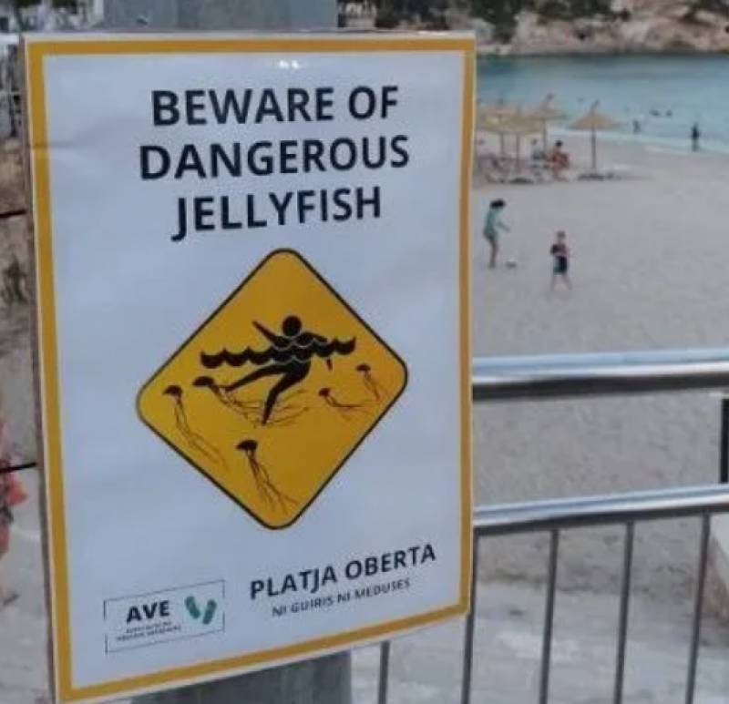 ! Alicante Today - Fake Warning Signs Appear On Mallorca Beaches To Get ...